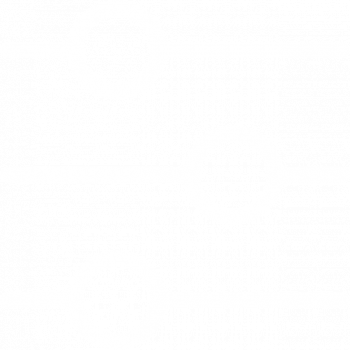 Brand Guidelines - Carmigo