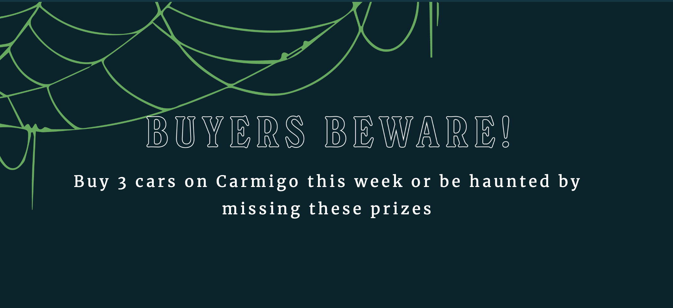 Buyers Beware - Carmigo